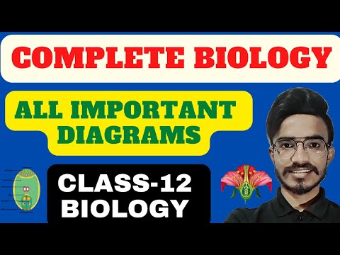 Class-12 Biology | All Important Diagrams of Full Biology | Complete ...