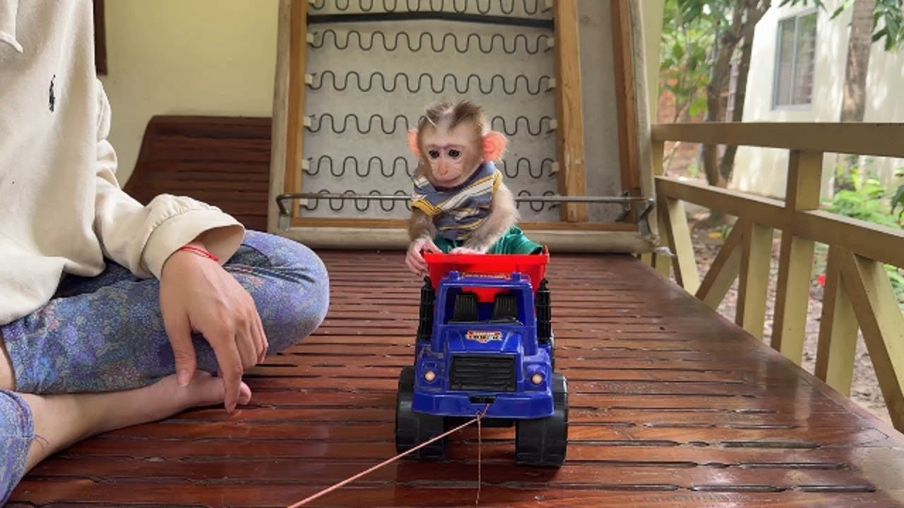Handsome Max Ride On Truck For First Time Training - YouTube