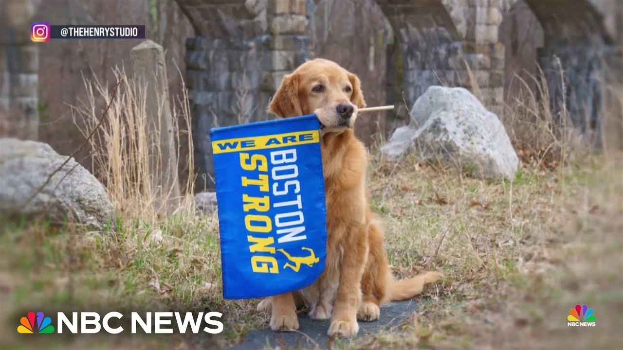 Legacy of the Boston Marathon’s beloved official dog lives on - YouTube