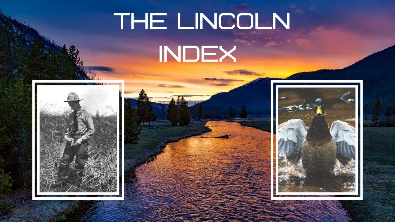 The Lincoln Index - YouTube
