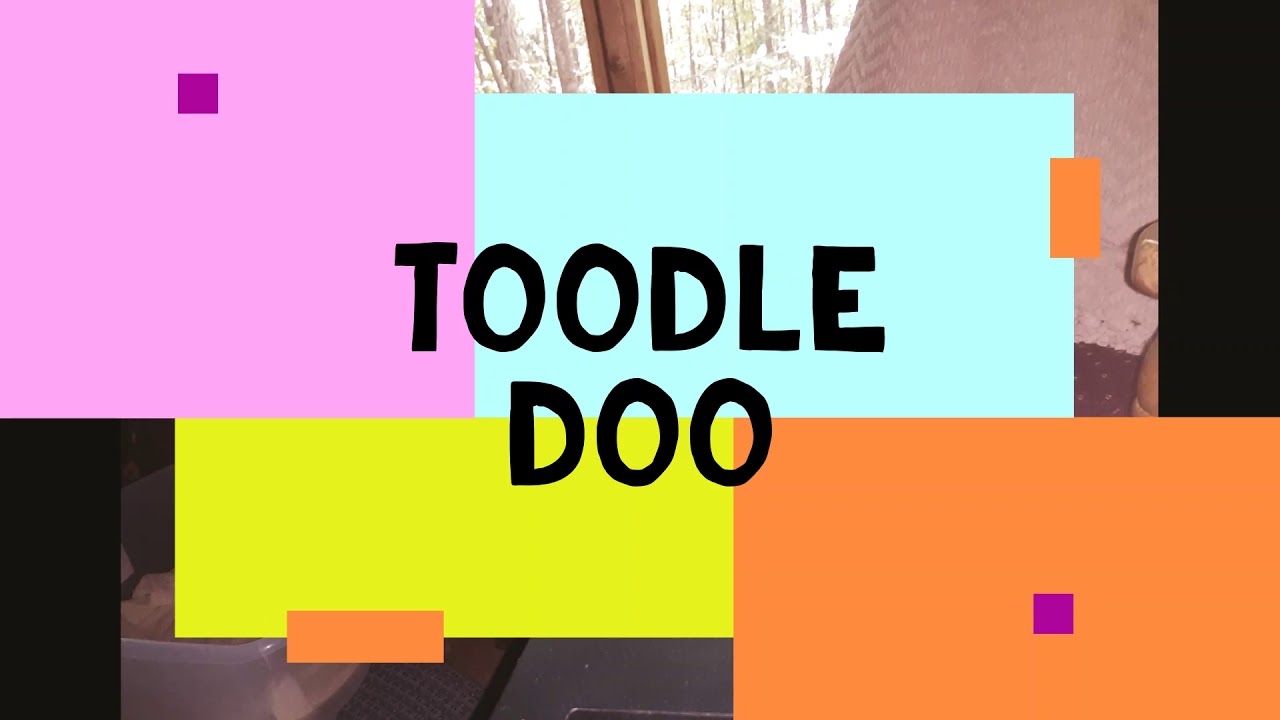 Meet Toodle Doo!!! 2020 - YouTube