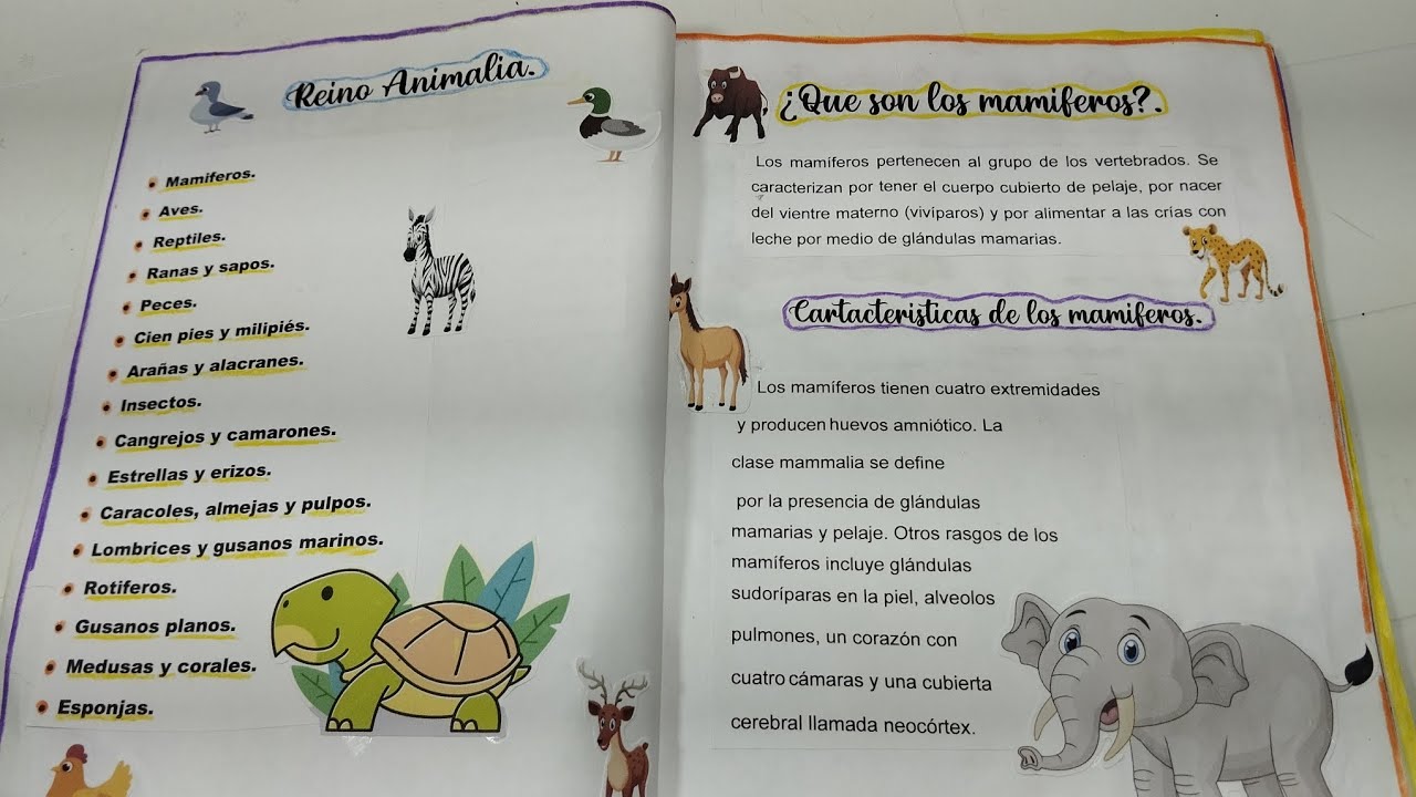 REVISTA PASO A PASO DEL MUNDO ANIMALIA/ REVISTA A MANO FACIL DE HACER ...