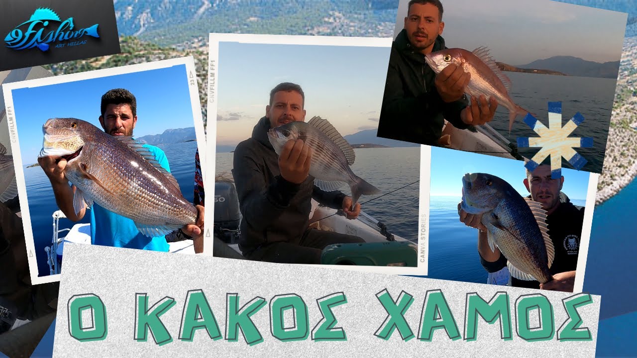 ΨΑΡΕΜΑ ΑΥΣΤΗΡΩΣ ΑΚΑΤΑΛΛΗΛΟ ΓΙΑ ΑΨΑΡΟΥΣ - YouTube