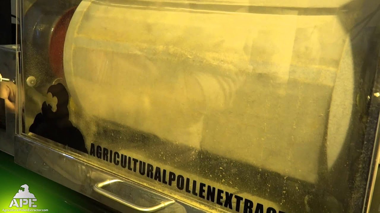 Agricultural Pollen Extractor in Action 2! - YouTube