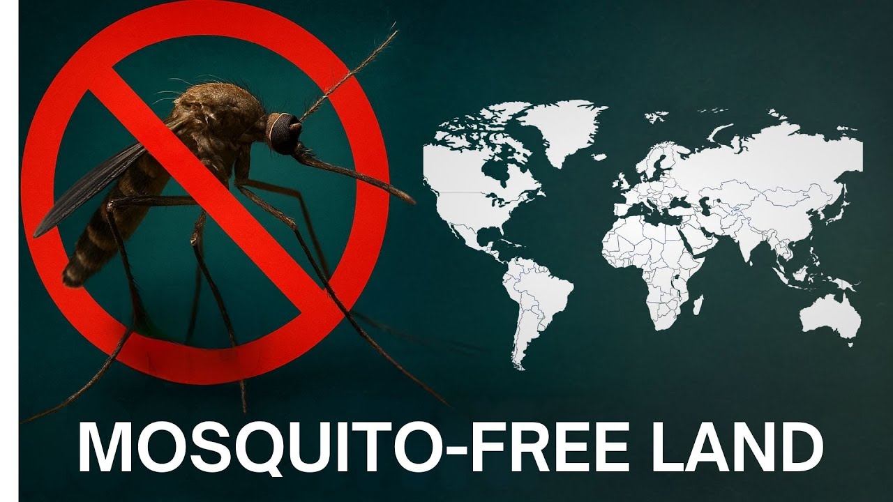 The Only Country on Earth Without Mosquitoes - YouTube