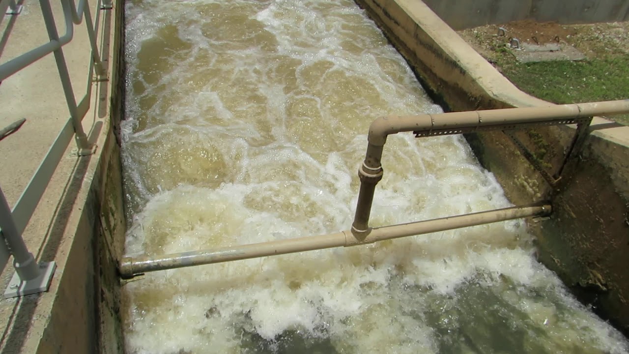 Floculacion - YouTube