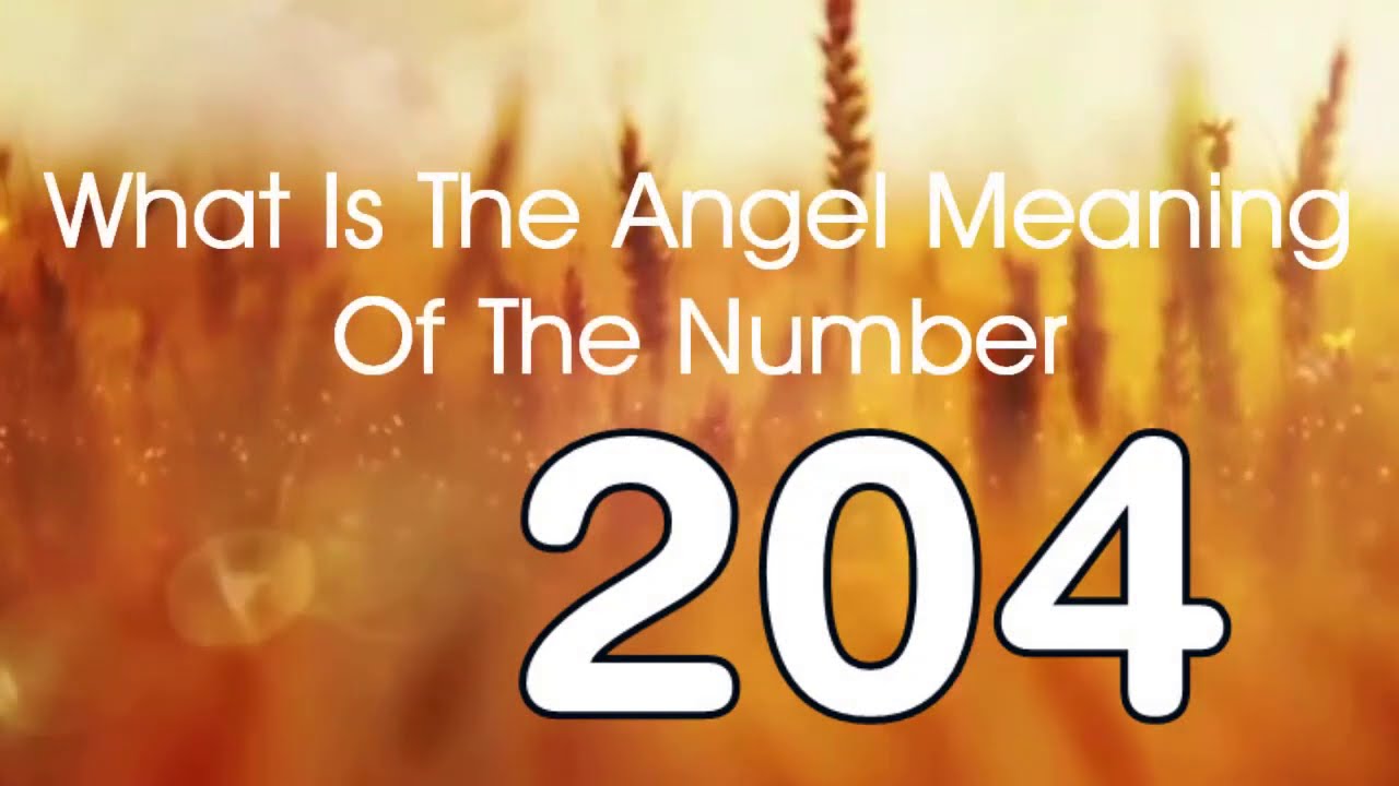 number-meaning-204-quick-angelic-numerology-reading-for-number-204