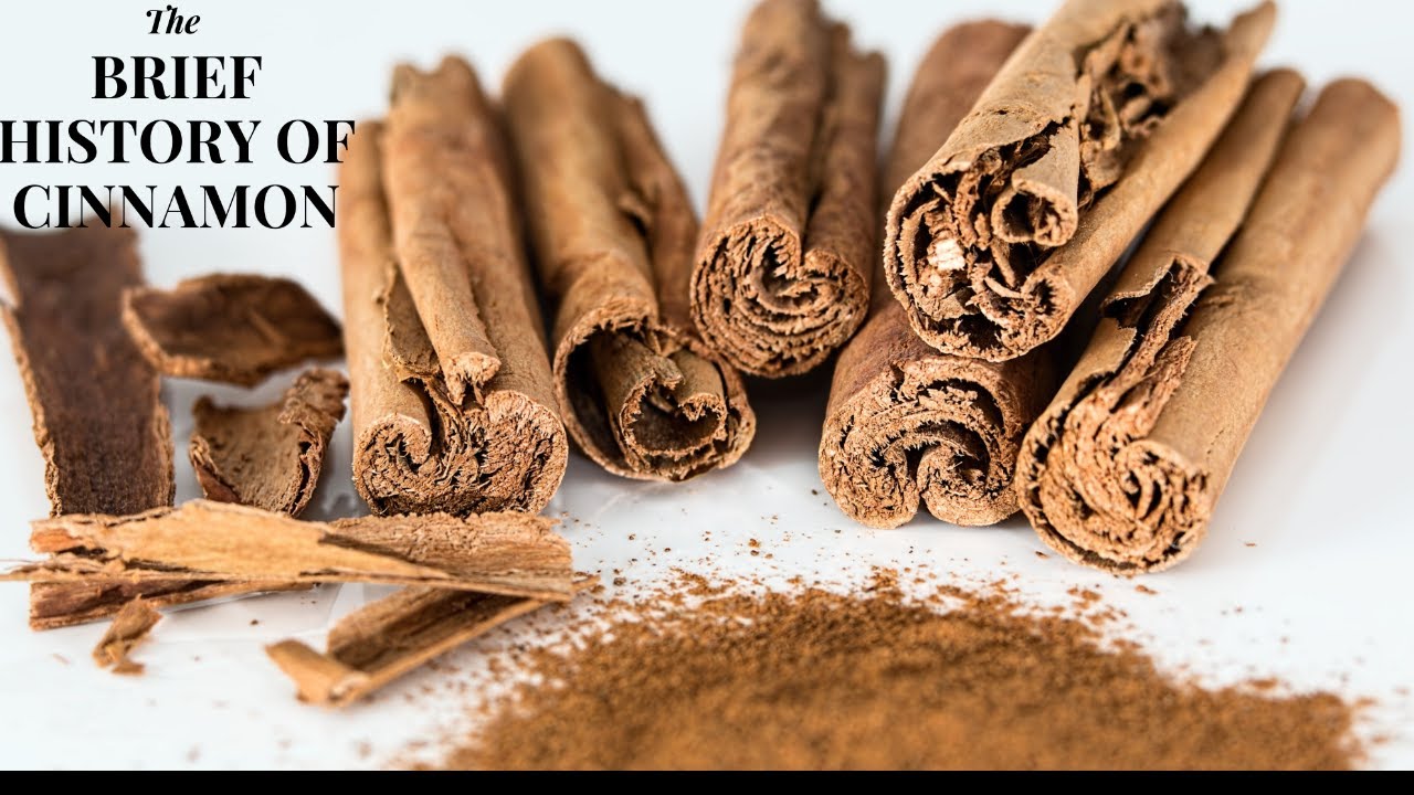 A brief Look at the Fascinating story of Cinnamon - YouTube