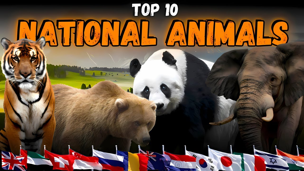 Top 10 Countries National Animals in The World | Top 5ology - YouTube