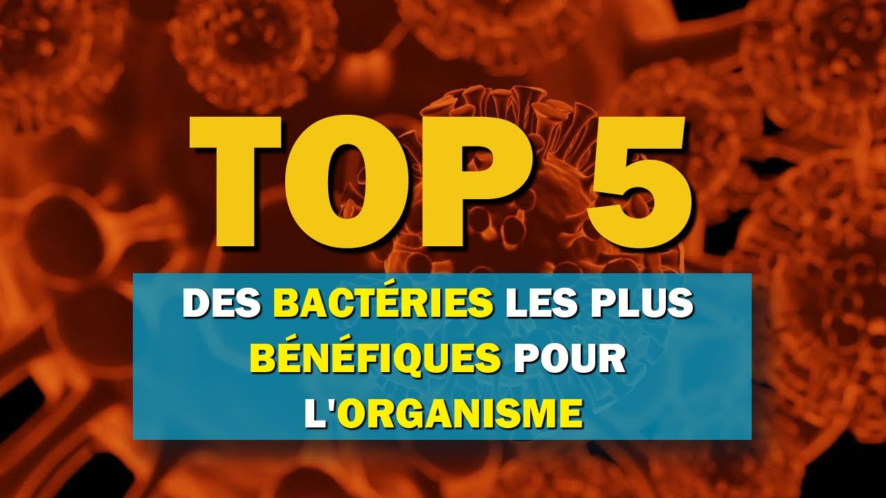 Top 5 des bactéries les plus bénéfiques pour l'organisme - YouTube