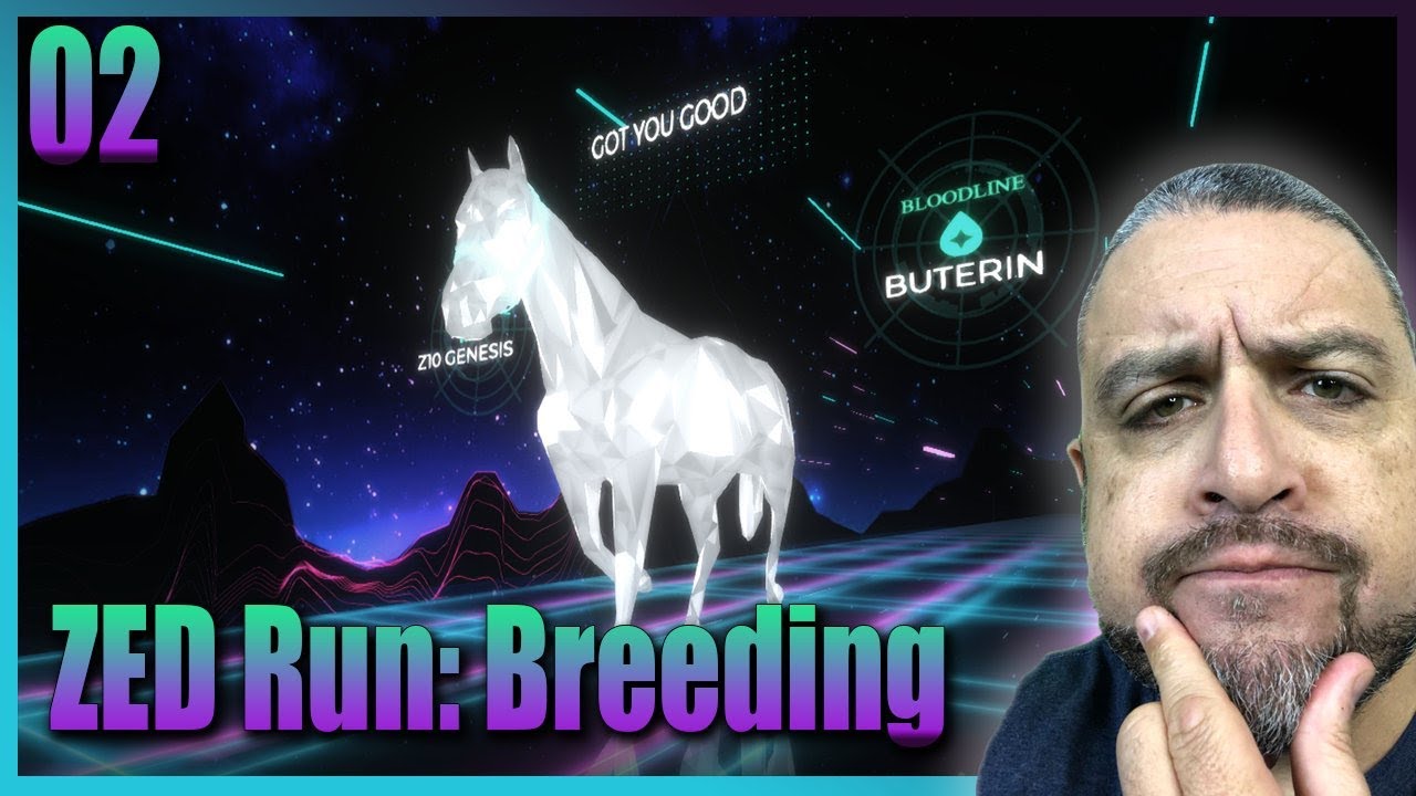 ZED RUN BREEDING: RTG episode 2 - YouTube