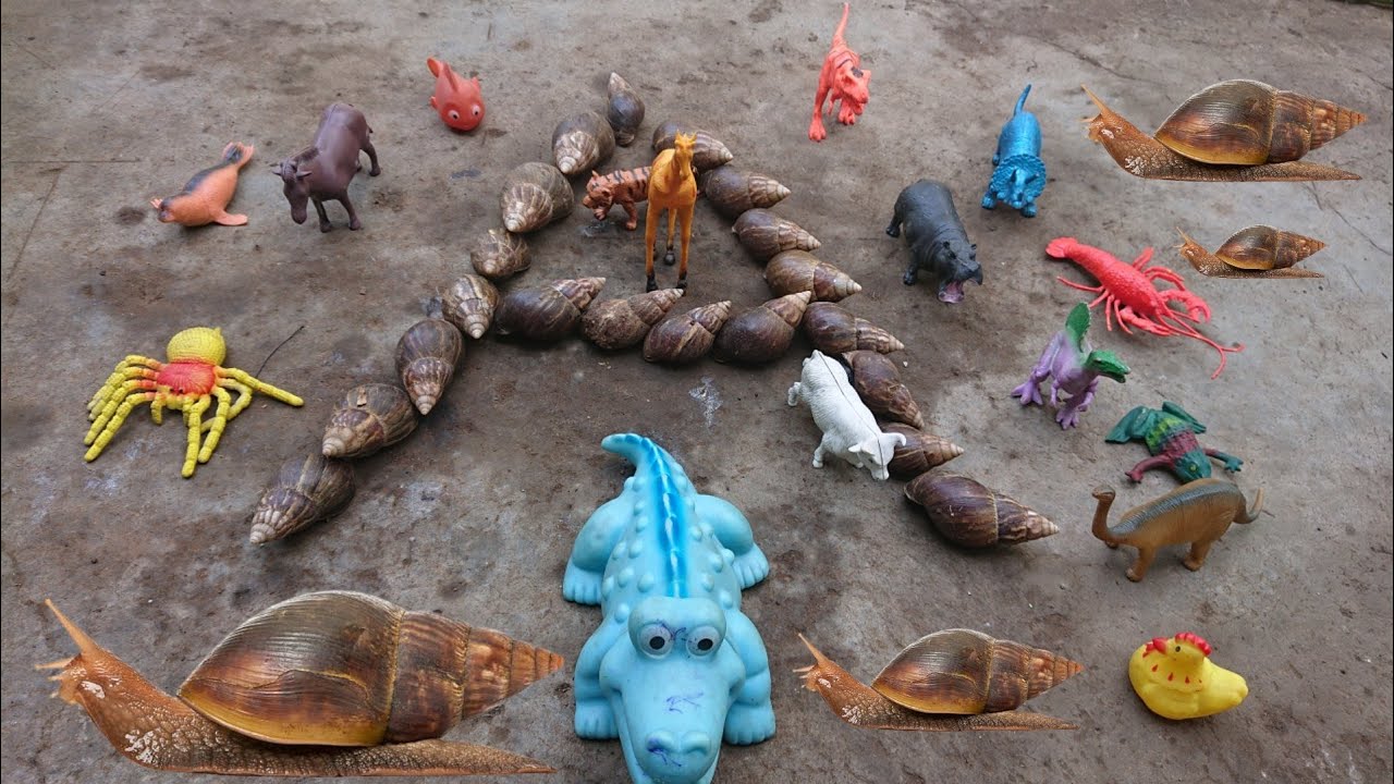 waw seru!! mengumpulkan snail🐊🦕🦒🦞🕷️ siput macan, bebek, udang, frog ...