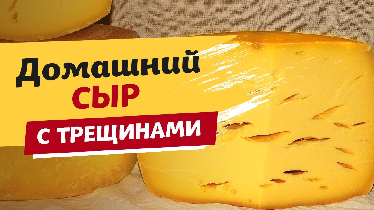 Домашний сыр не получился потому что ТАК нельзя Трещины в сыре