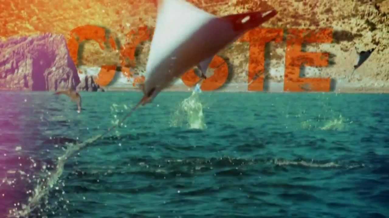 Wild America (National Geographic): COSTE - trailer HD - YouTube