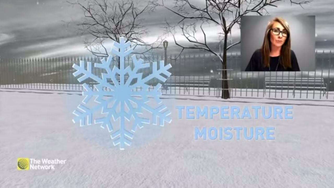 The Science Behind Snowflakes: What makes them unique? - YouTube