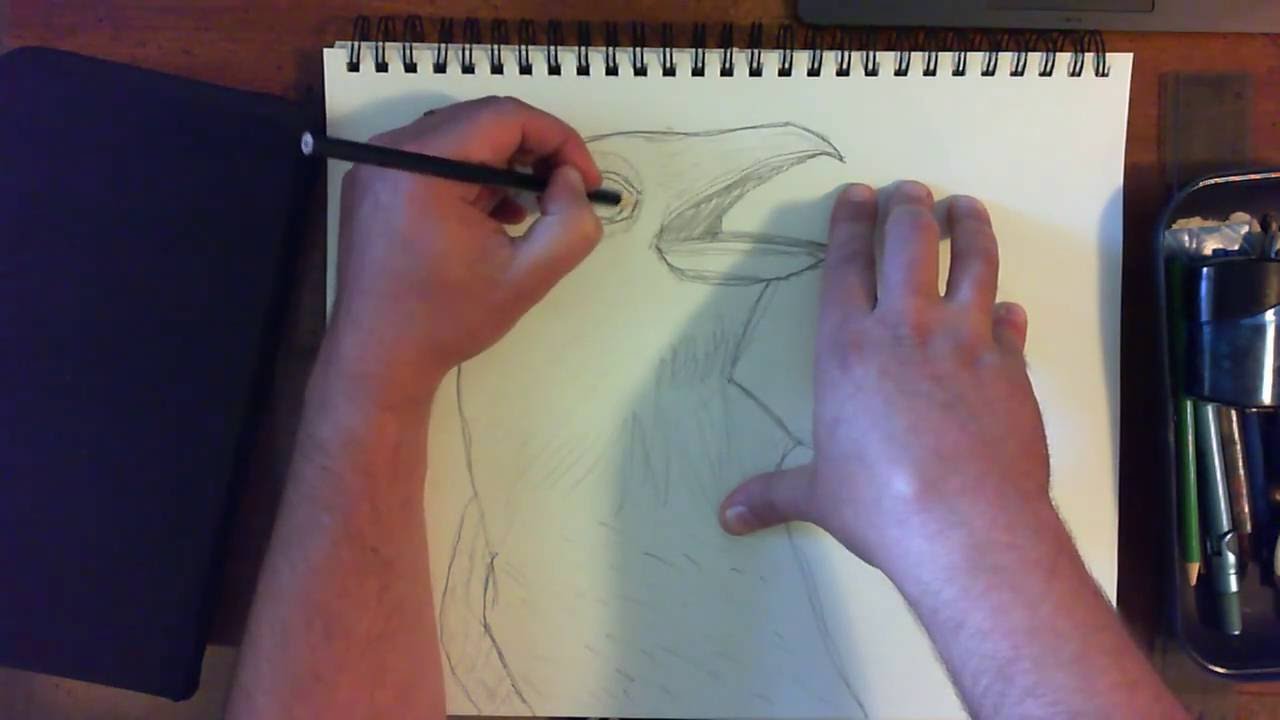 Drawing a bird without erasing - YouTube