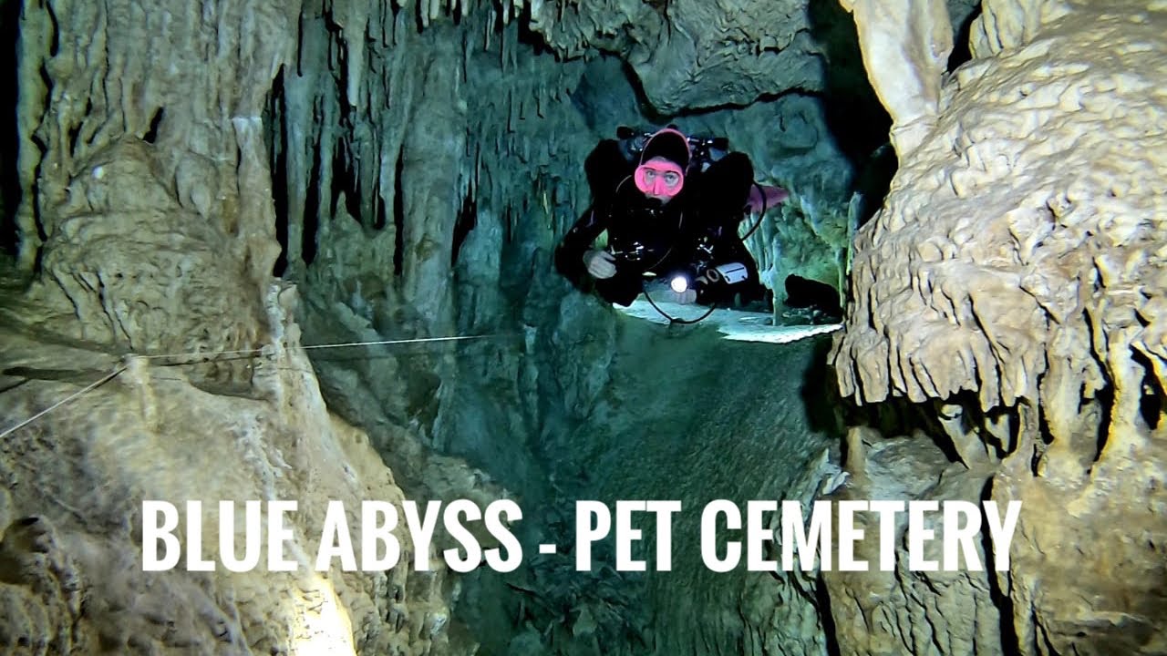 BLUE ABYSS - PET CEMETERY //CAVE DIVING IN MEXICO // PART 2 - YouTube