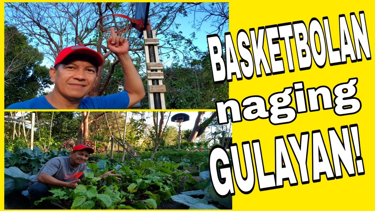 Gulayan sa Basketbolan / Gulayan sa bakuran / Masaganang gulayan ...