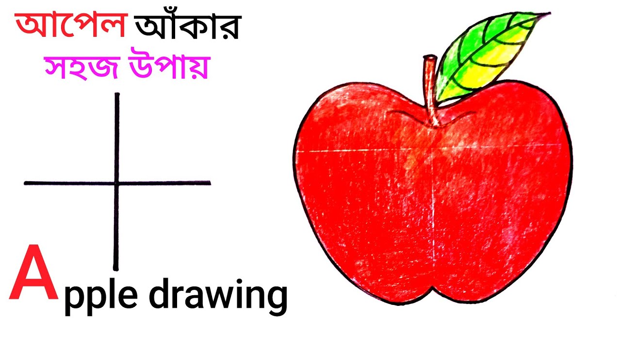 আপেল আঁকার সহজ উপায়। আপেল আঁকা। how to draw apple easy l apple drawing ...