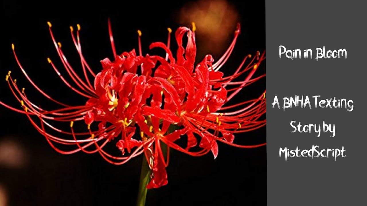 Pain in Bloom // Part 1 - YouTube