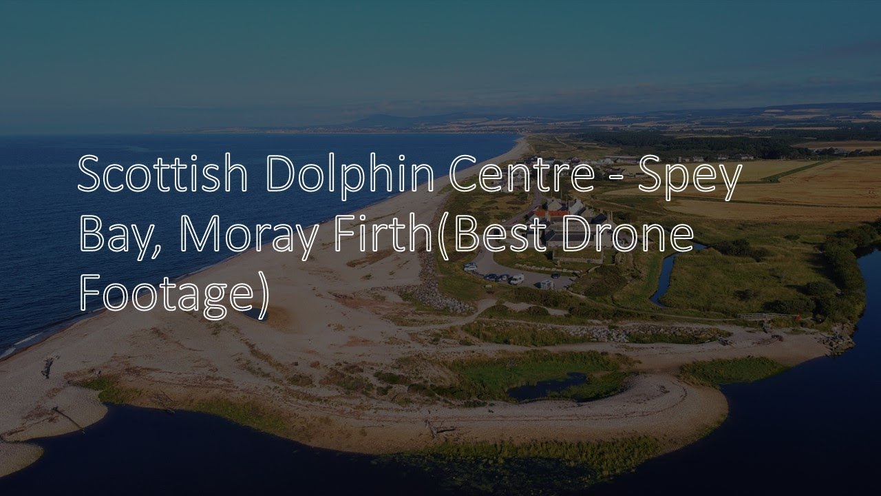Scottish Dolphin Centre Spey Bay, Moray Firth(Best Drone Footage) - YouTube