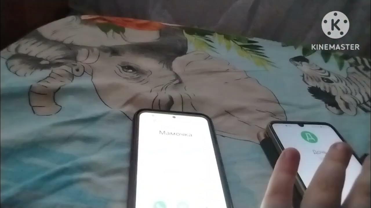 #Teemon_khv @Teemon_khv - YouTube