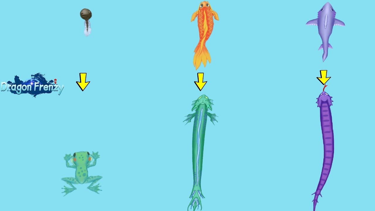 Nuôi Nòng Nọc hóa thành Rồng Nước thần kỳ trong game mobile Dragon ...