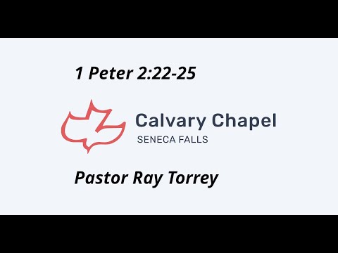 1 Peter 2:22-25 - Pastor Ray Torrey - YouTube