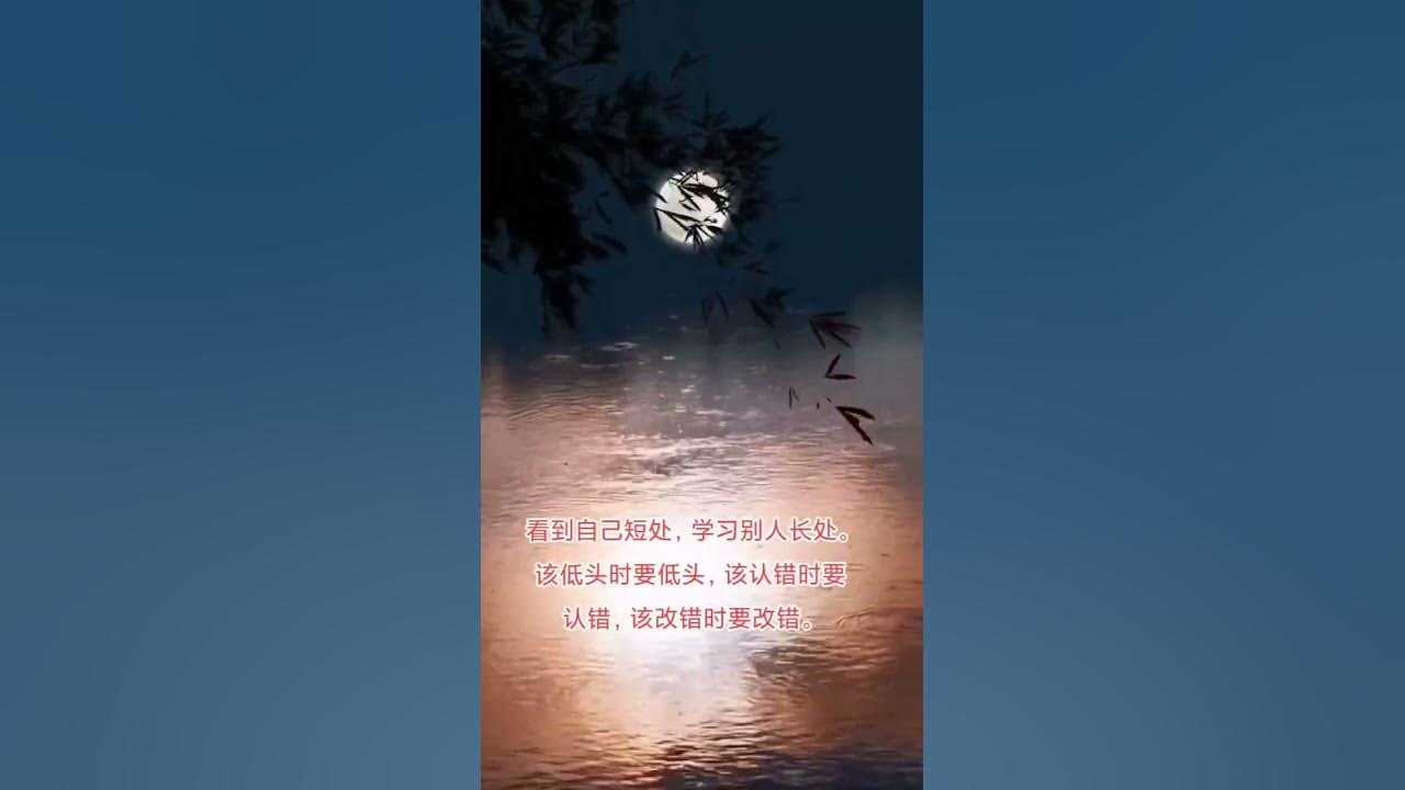 看到自己短处,学习别人长处。该低头时要低头,该认错时要认错,该改错时要改错。——冬宁谢 Youtube