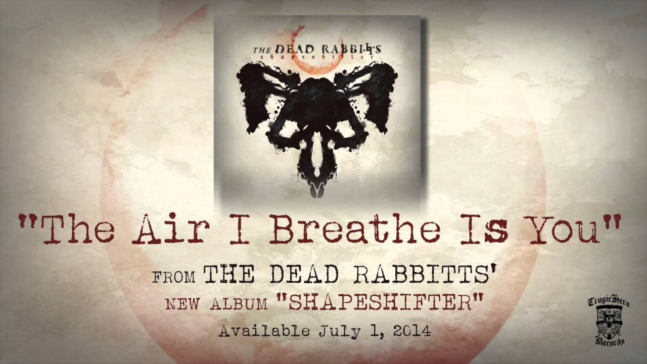 THE DEAD RABBITTS - The Air I Breathe Is You (Official Stream) - YouTube