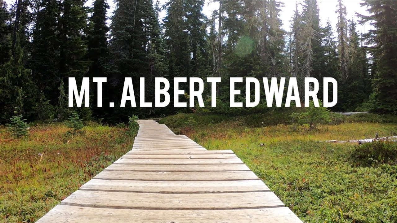 Mt Albert Edward - Strathcona Provincial Park - Backpacking - YouTube