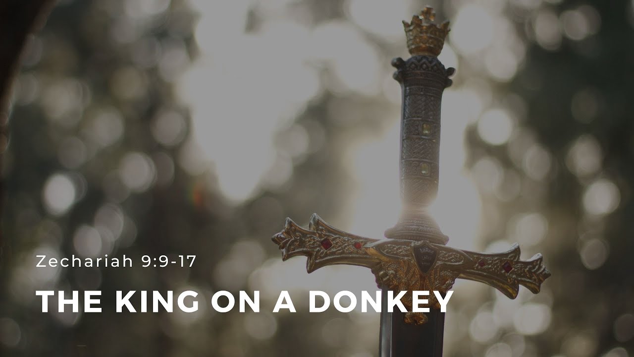Zechariah 9:9-17 “The King on a Donkey” - May 14, 2021 | ECC Abu Dhabi ...