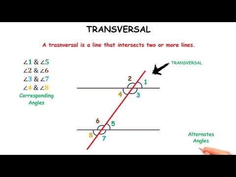 Basic Geometry | Transversal - YouTube