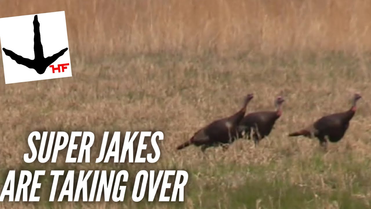 SUPER JAKES ARE TAKING OVER 🦃🦃 Gonna Be A Tuff Season - YouTube