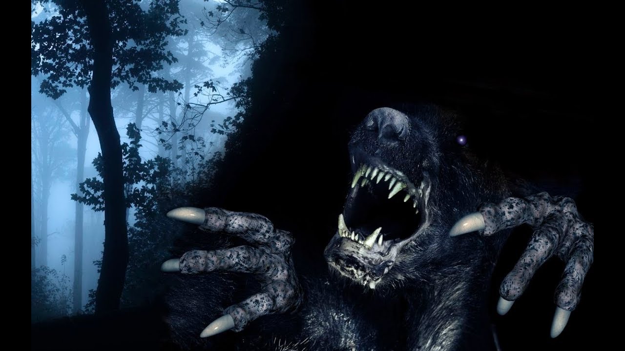 THE SIGHTING OF A SKINWALKER - YouTube