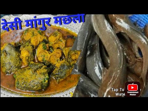 देसी मांगूर मछली| देसी तरीक़े से | Mangur Fish In Desi Style | Easy to ...