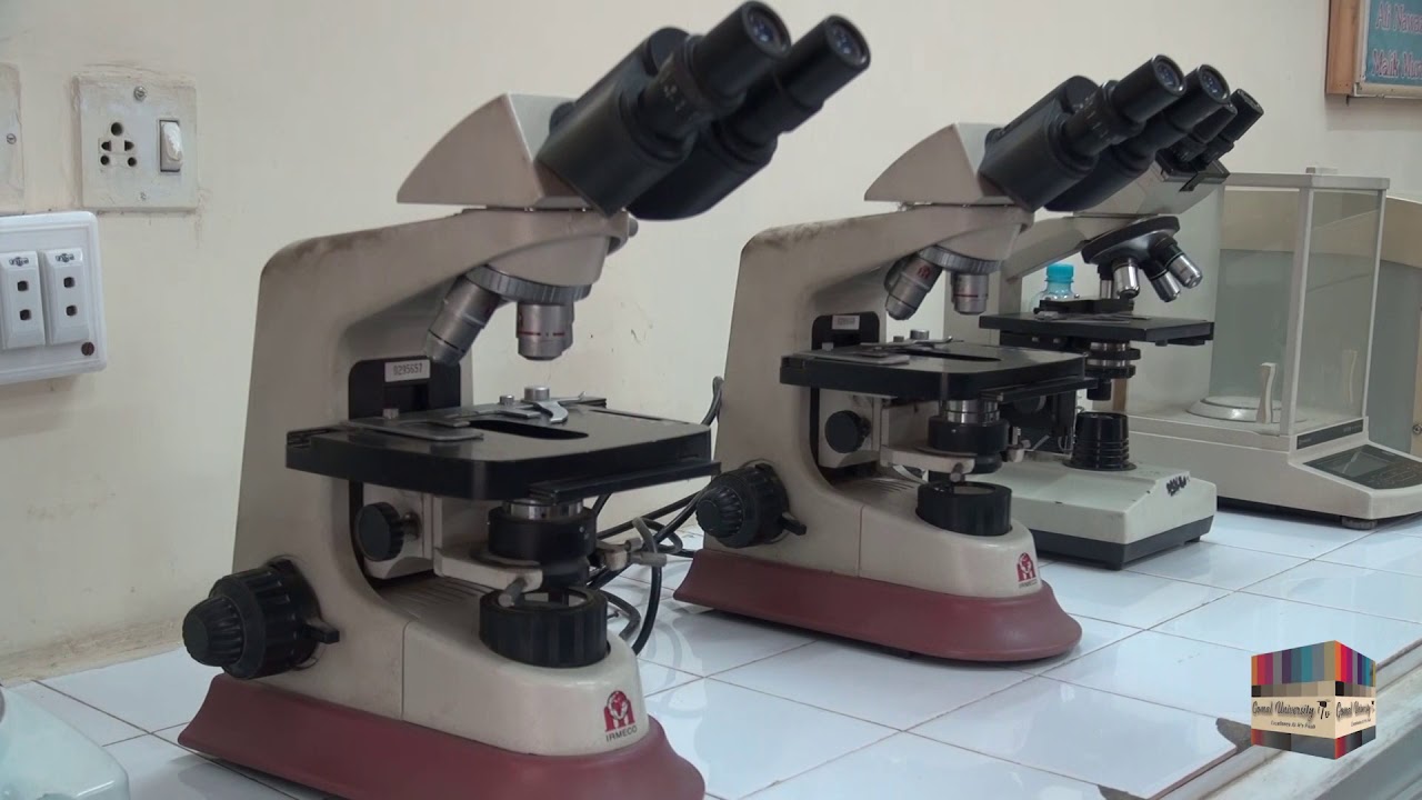 ANATOMY LAB , DVM GOMAL UNIVERSITY - YouTube