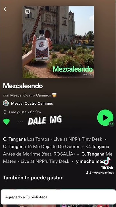La playlist perfecta para una tarde mezcalera - YouTube