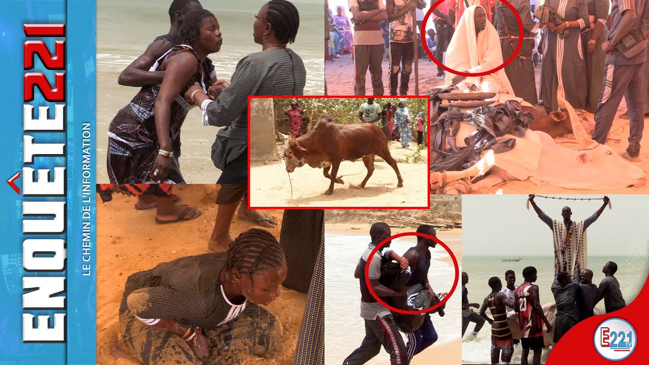 Ndeup lebous de l'année, regardez comment les leboux guérissent les ...