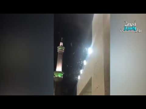Flying Cockroaches / Black Grasshoppers Swarm Saudi Arabia makkah For ...