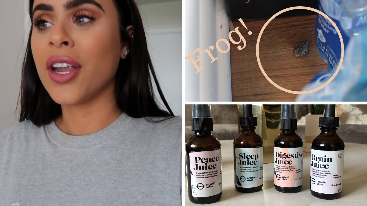 There's a Frog In My Kitchen! + Herbs I Take At Night - YouTube