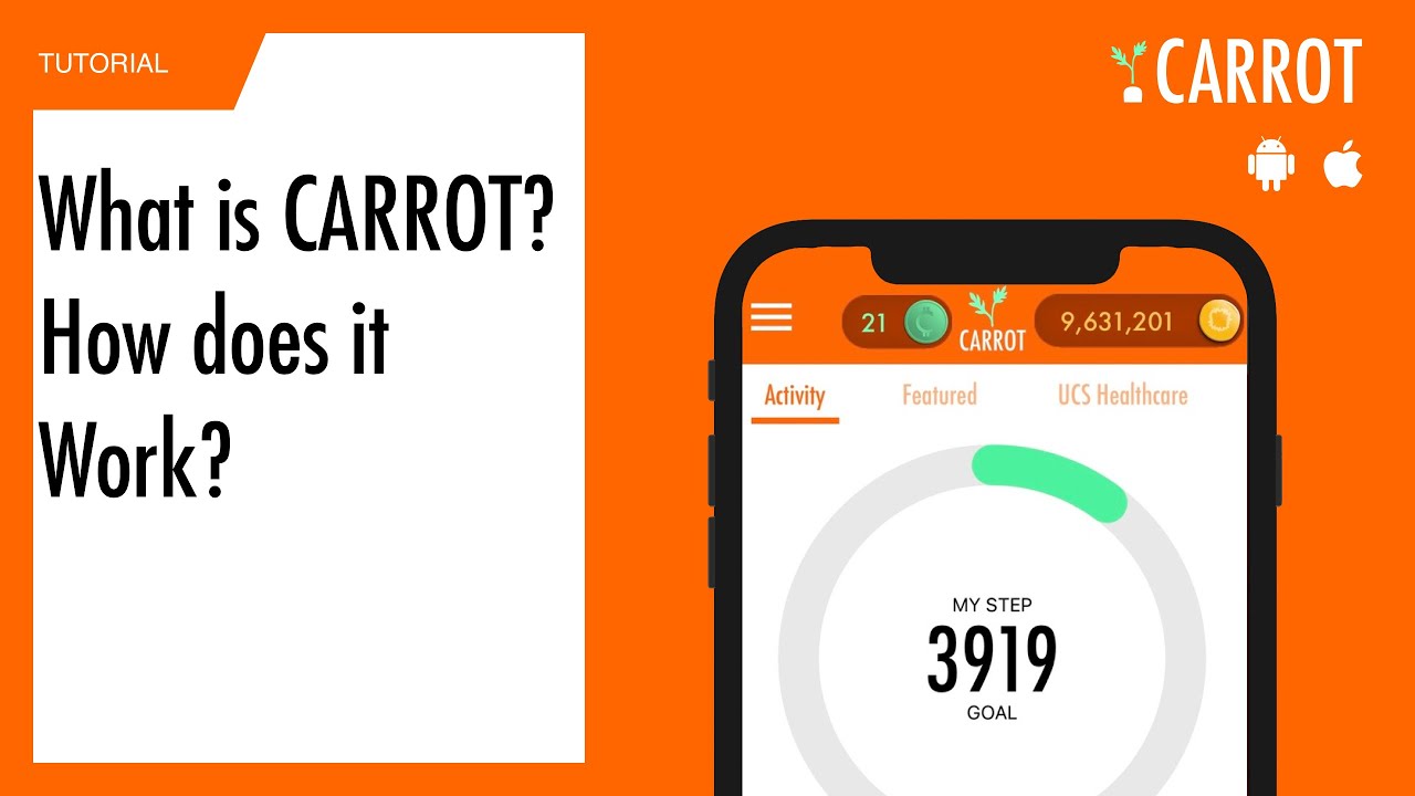 What is CARROT and how does it Work? - YouTube