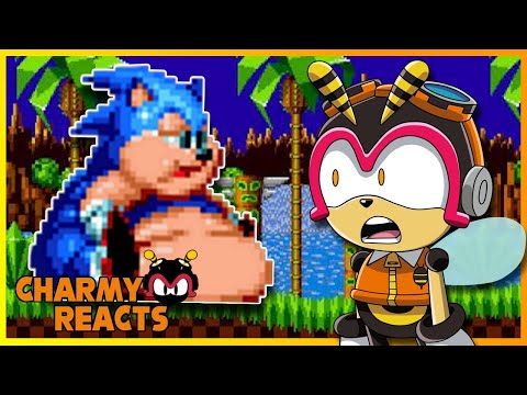 SONIC! WHY YOU SO CHONKY?! - Charmy Reacts to Sonic Oddshow HD Remix