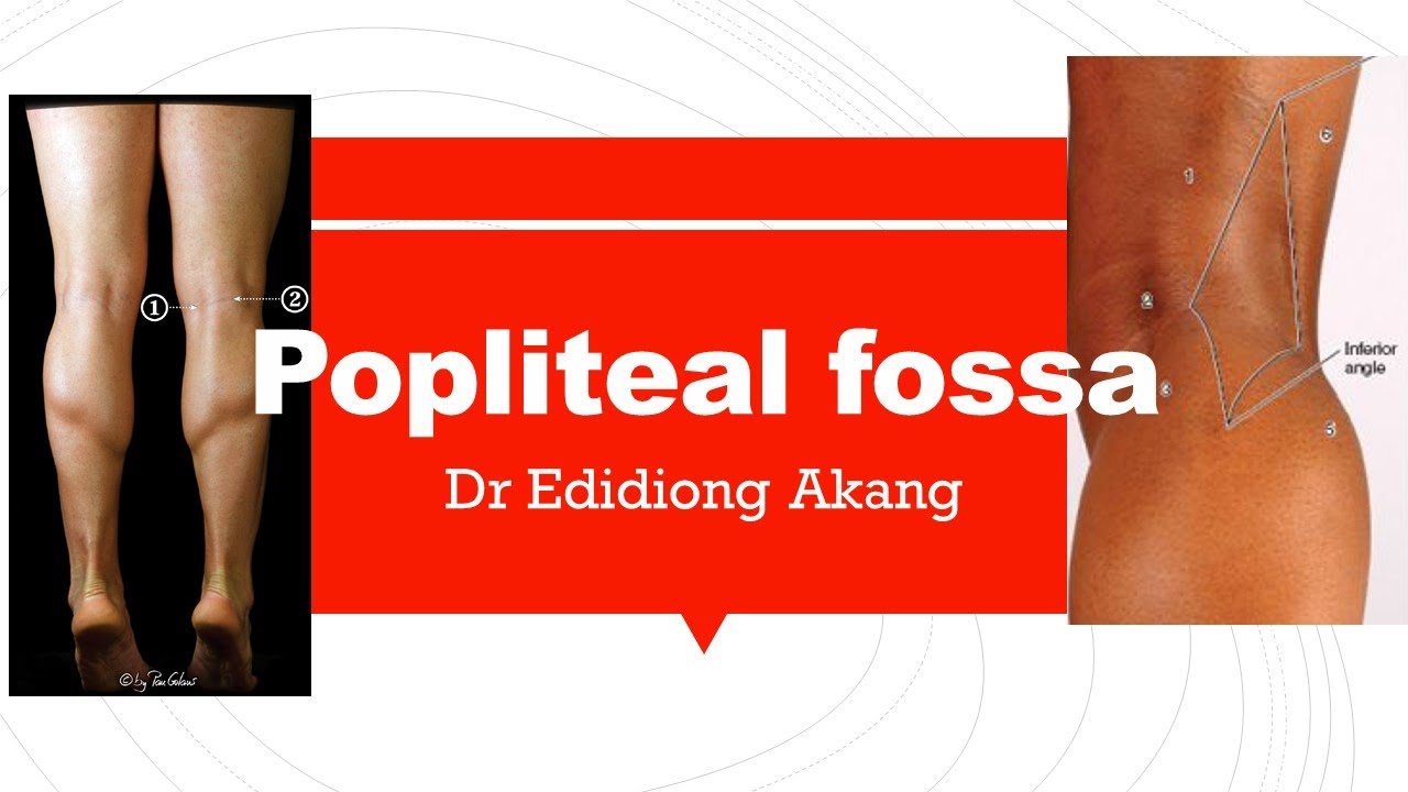 Popliteal Fossa - YouTube
