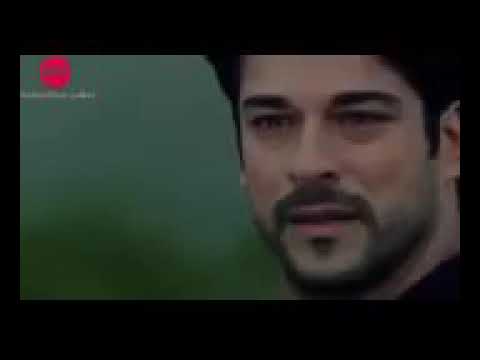 qisa video(4)