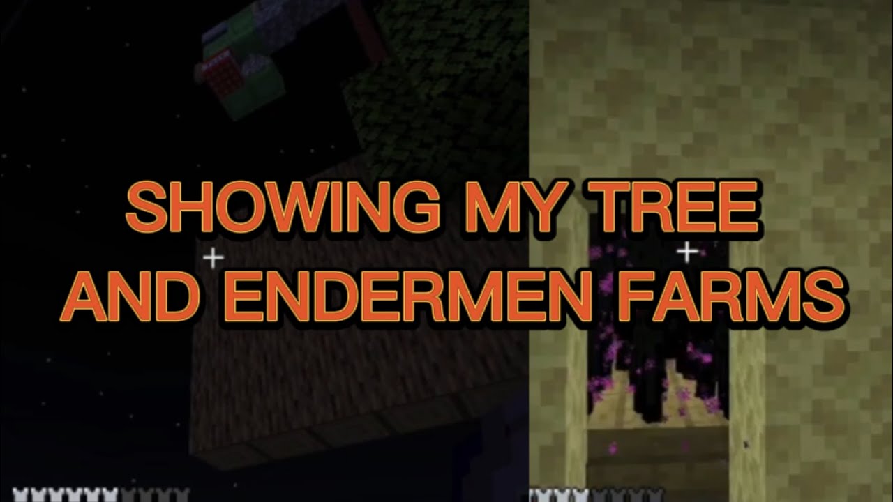 SHOWING MY TREE AND ENDERMEN FARMS!!! (With That1Cid) - YouTube