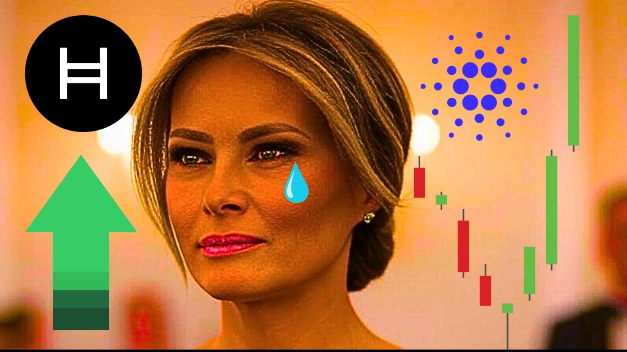UNLEASHING TRUMP MEME MANIA: CAN YOU PROFIT FROM THE FRENZY? - YouTube
