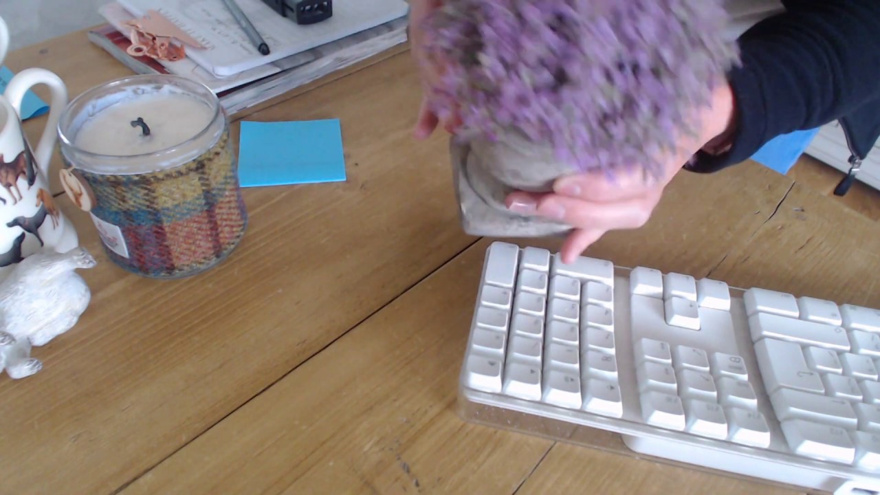 ASMR Gift Shop Role Play With Whispering (Viewer Request) Intoxicating ...