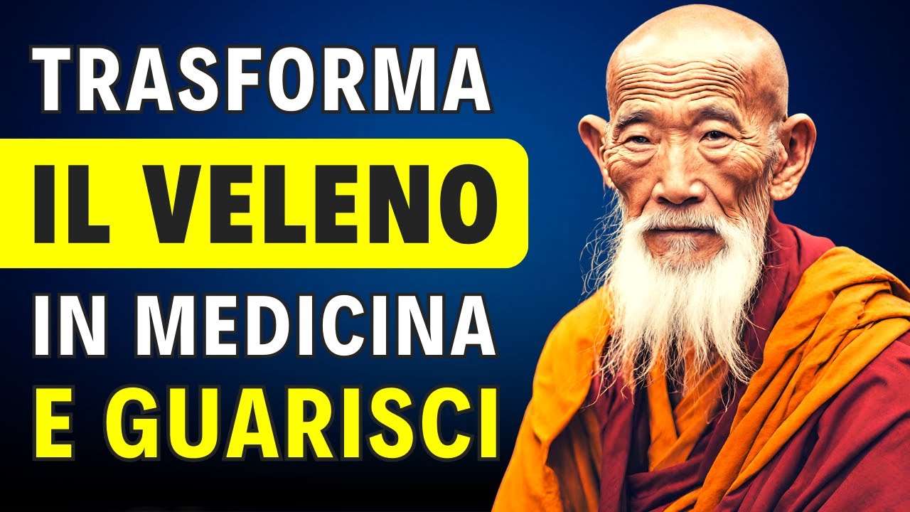 Come Trasformare il Veleno in Medicina | Il Potere dell’Autoguarigione ...