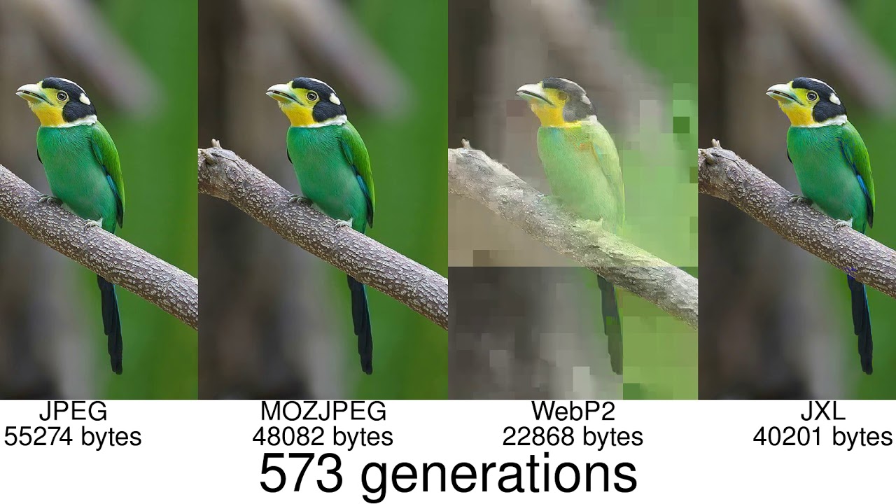 Generation Loss – JPEG, MOZJPEG, WEBP2, JPEGXL - YouTube